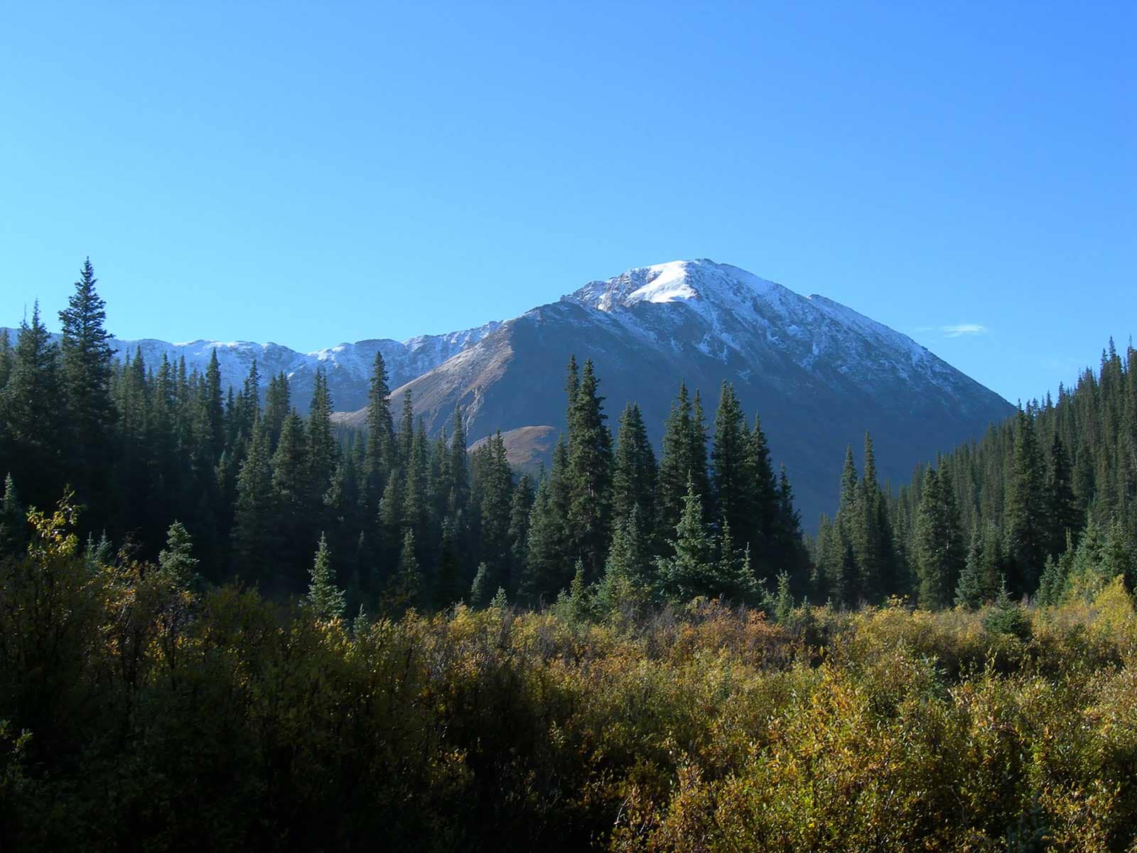 Blue Mountain Environmental Consulting Services | Planning