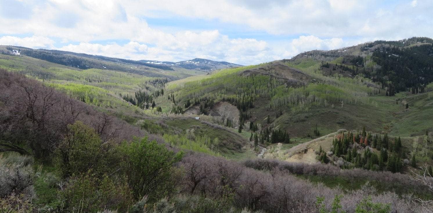 Blue Mountain Consulting | Conservation & Open Space Planning