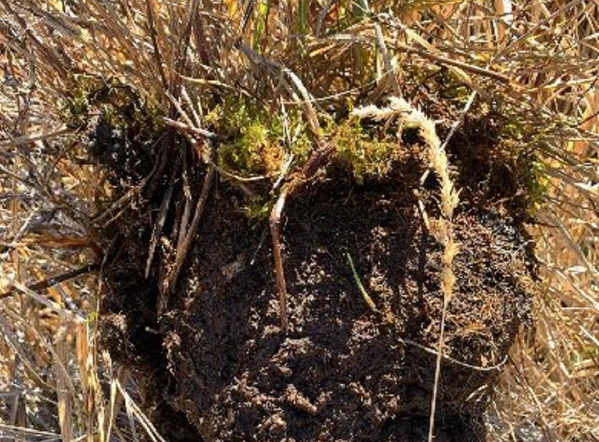 Project Experience Update | Blue Mountain Environmental Consulting, LLC