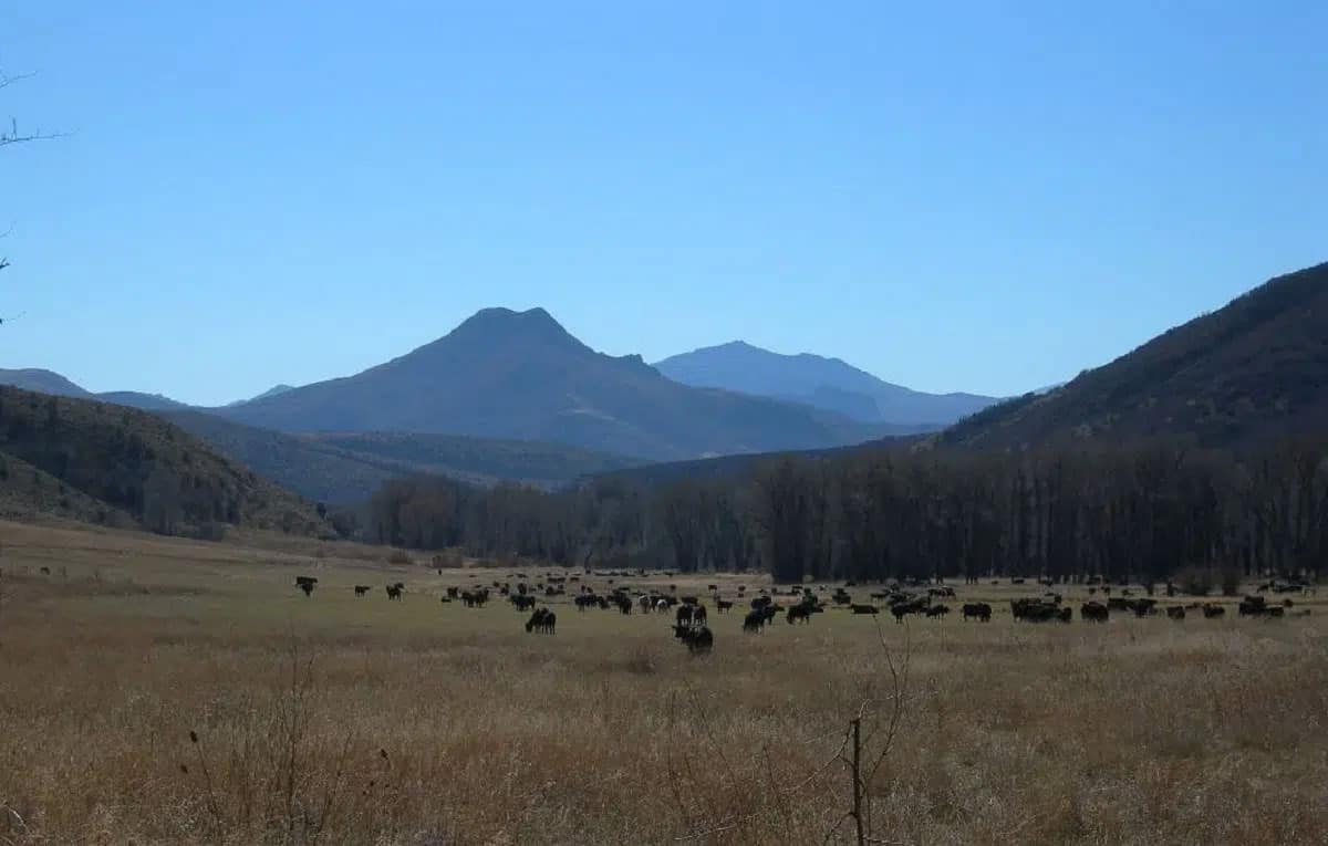 Project Experience | Blue Mountain Environmental Consulting, LLC